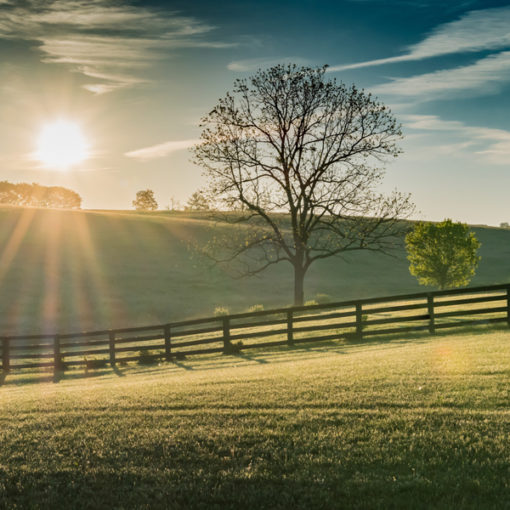 Shop - Equipping Minds